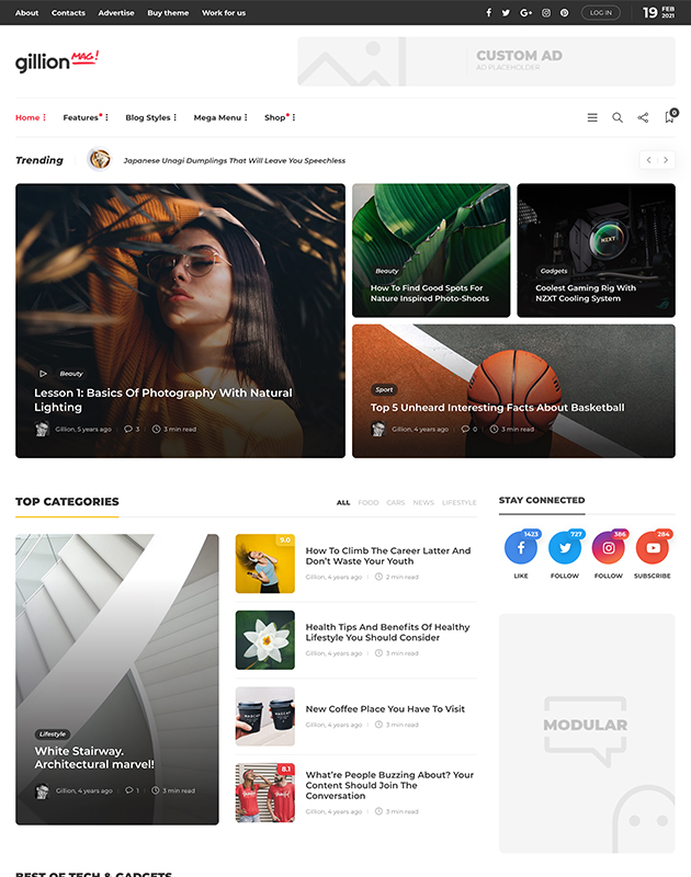 SwagMag WordPress Theme - WP Servis