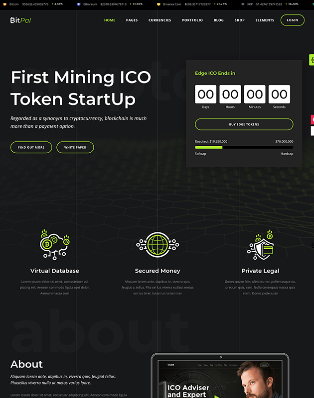 BitPal WordPress Theme - WP Servis