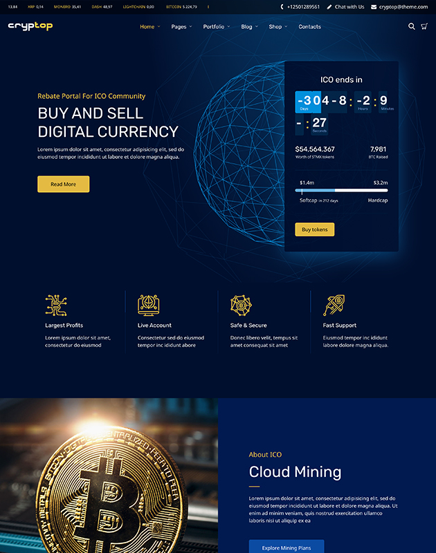 CrypTop WordPress Teması - WP Servis